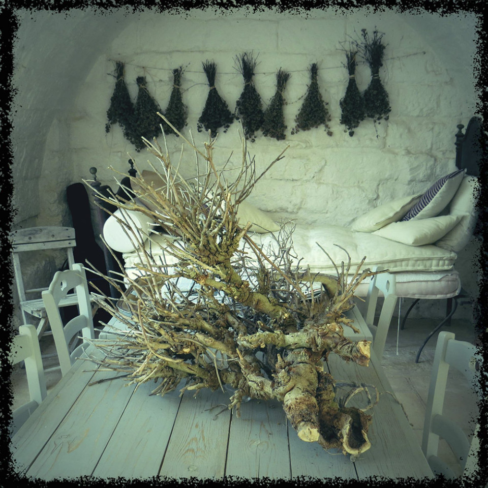 Masseria Potenti in Puglia | Giò Marta – ITALIA EXPERIENCE