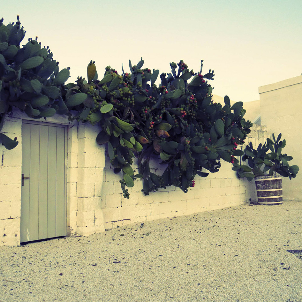 Masseria Potenti in Puglia | Giò Marta – ITALIA EXPERIENCE